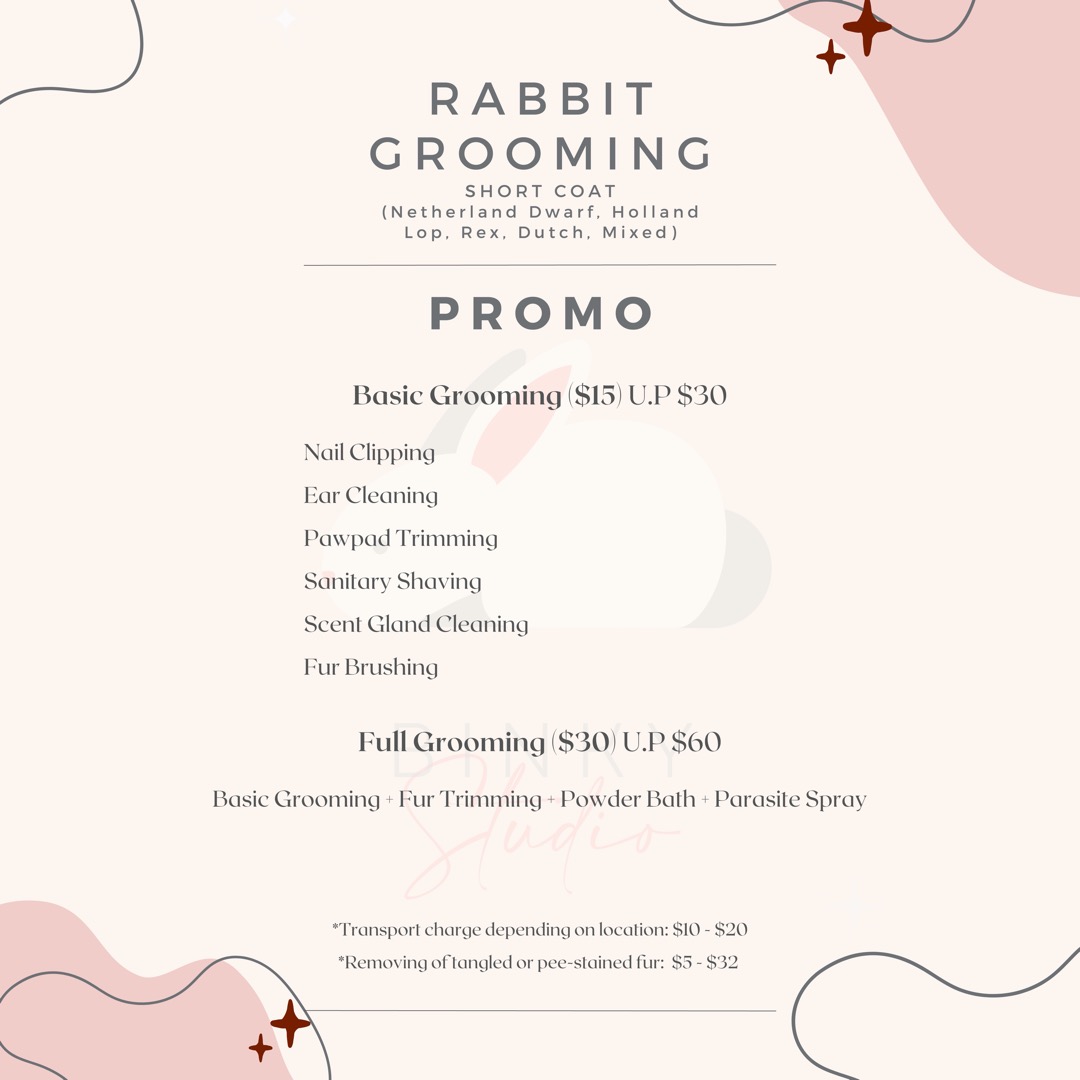 MOBILE RABBIT GROOMING SERVICE, Pet Supplies, Health & Grooming on ...