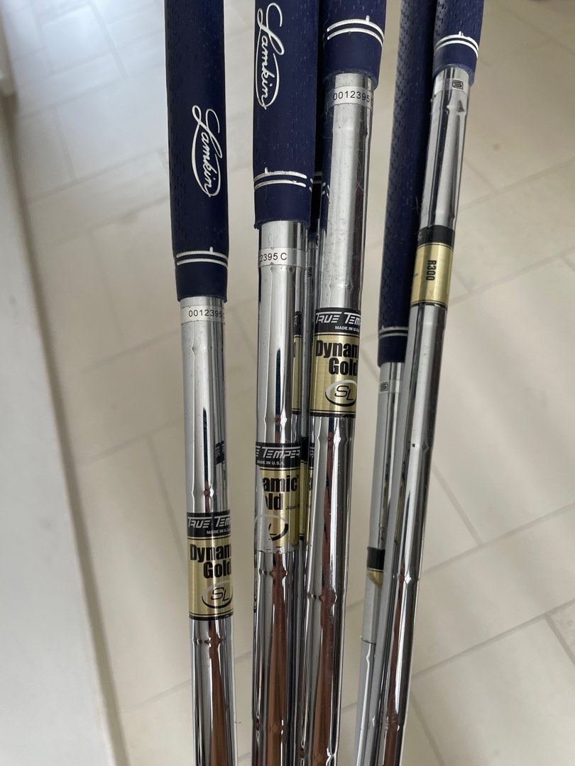 Dynamic Gold SL R300 Golf Iron shaft set 5-Pw lamkin grips, Sports Equipment, Sports & Games ...