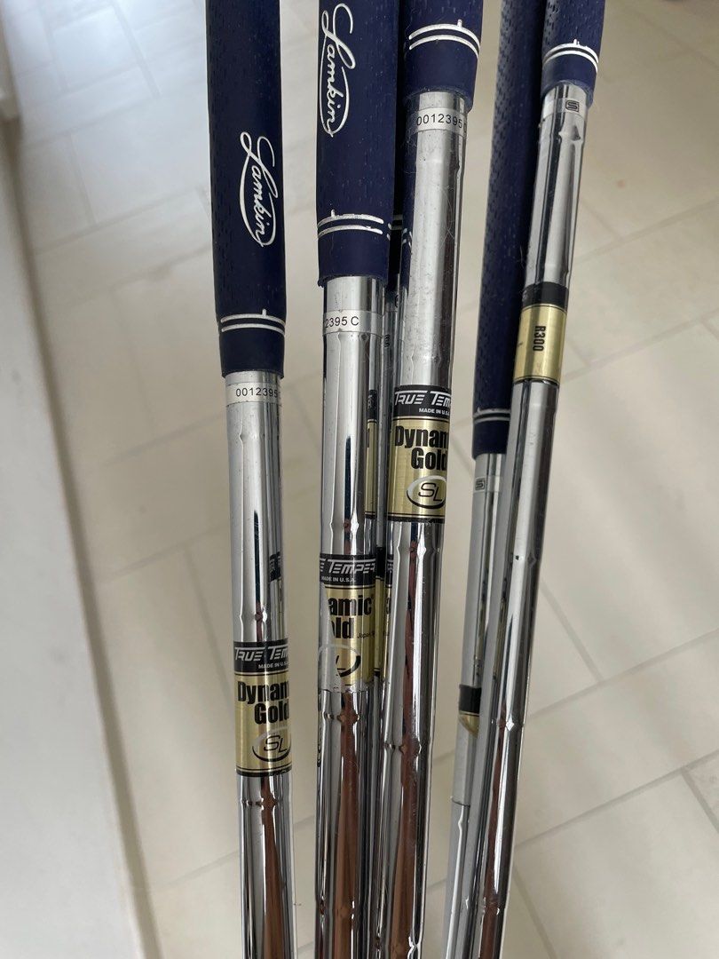 Dynamic Gold SL R300 Golf Iron shaft set 5-Pw lamkin grips, Sports ...