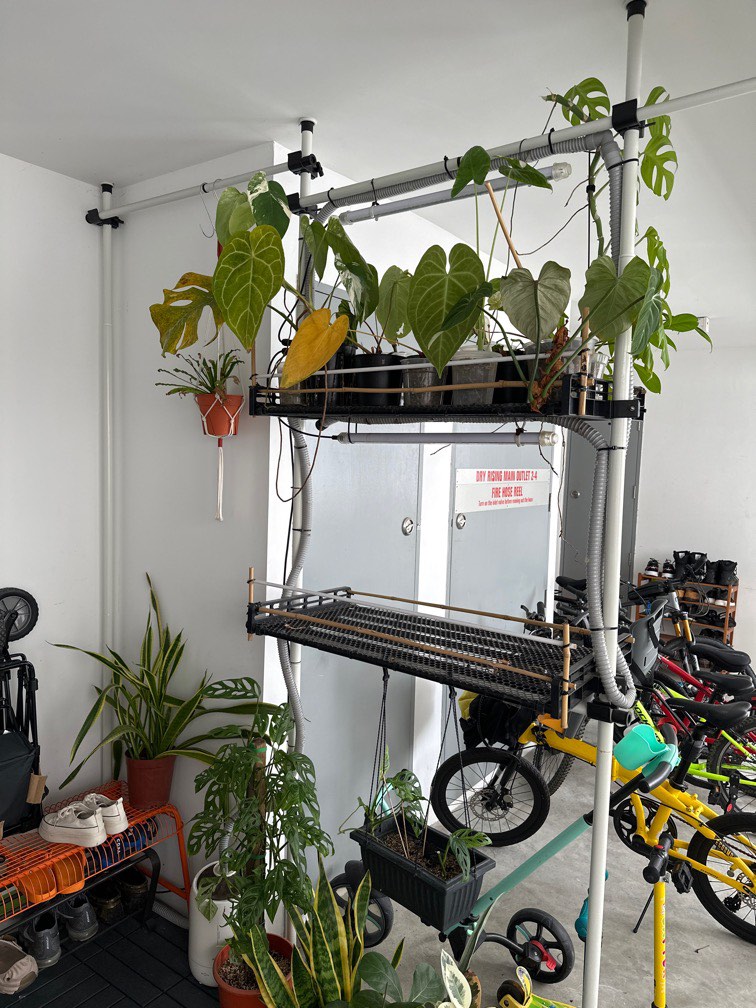 (Free) Plant rack/ Clothes rack w/ Humidifier system, Furniture & Home ...