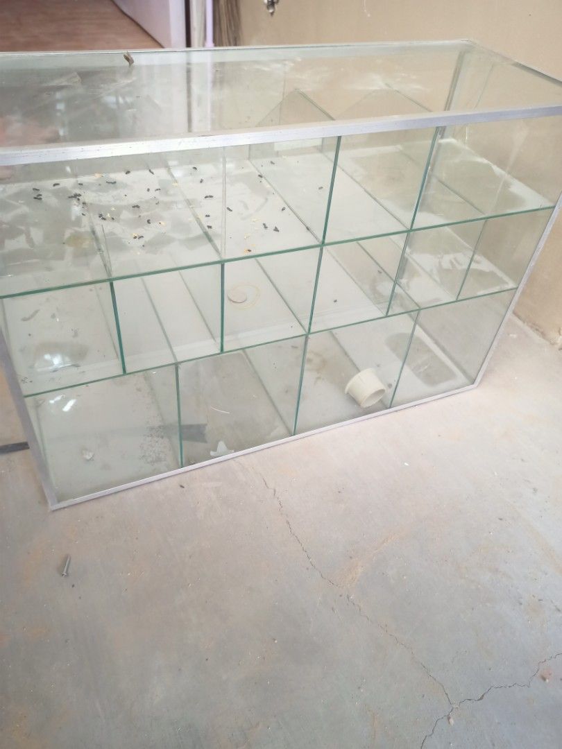 Glass stante, Furniture & Home Living, Furniture, Shelves, Cabinets ...