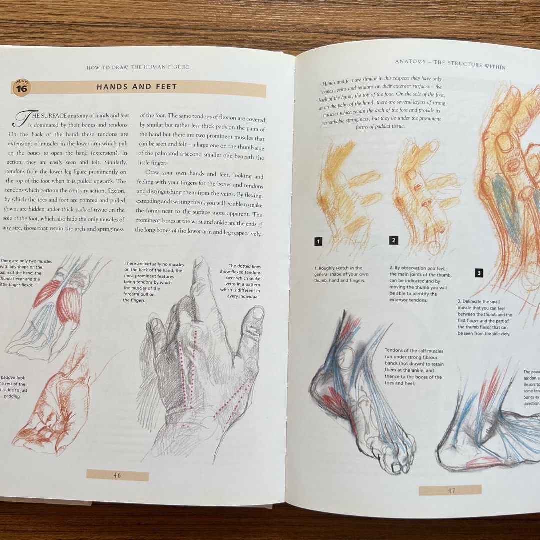 How To Draw The Human Figure: A Complete Guide book by John Raynes ...