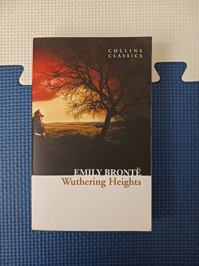 Jane Eyre, Wuthering Heights, and Frankenstein Bundle, Hobbies & Toys ...