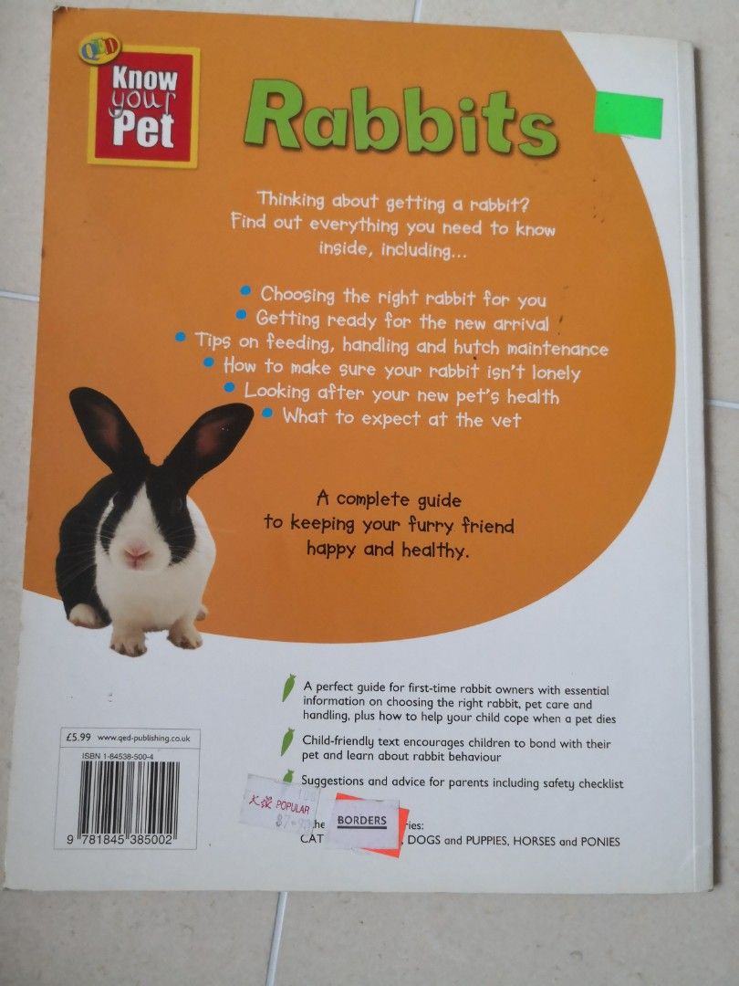 Know Your Pet: Rabbits, Hobbies & Toys, Books & Magazines, Children's ...