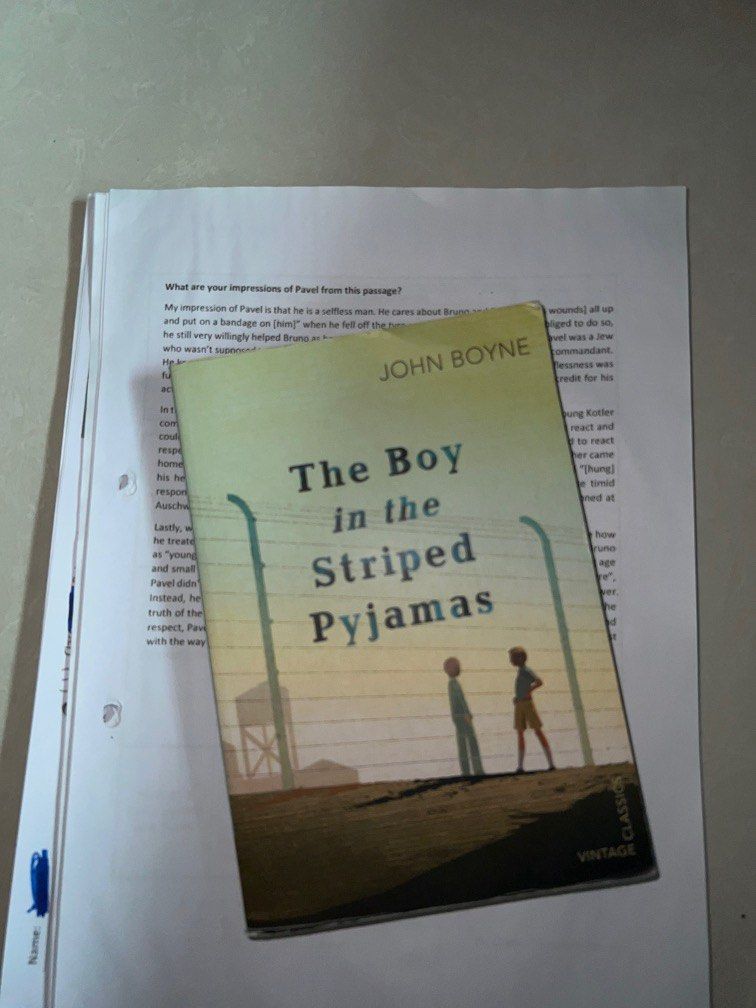 Literature boy in the striped pyjamas, Hobbies & Toys, Books ...
