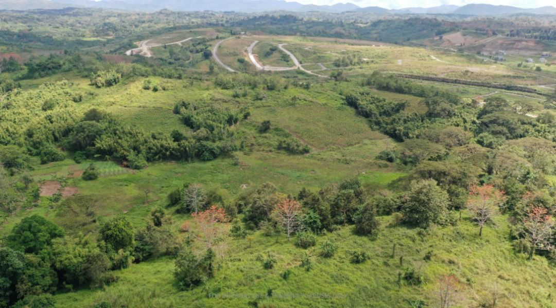 MIRAVERA Altaraza Ayala Land Premier biggest lot available 5500sqm Pre ...