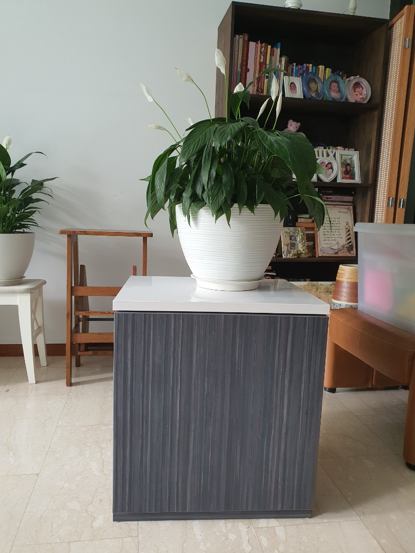 Multi purpose movable storage/cabinet/side table, Furniture & Home ...