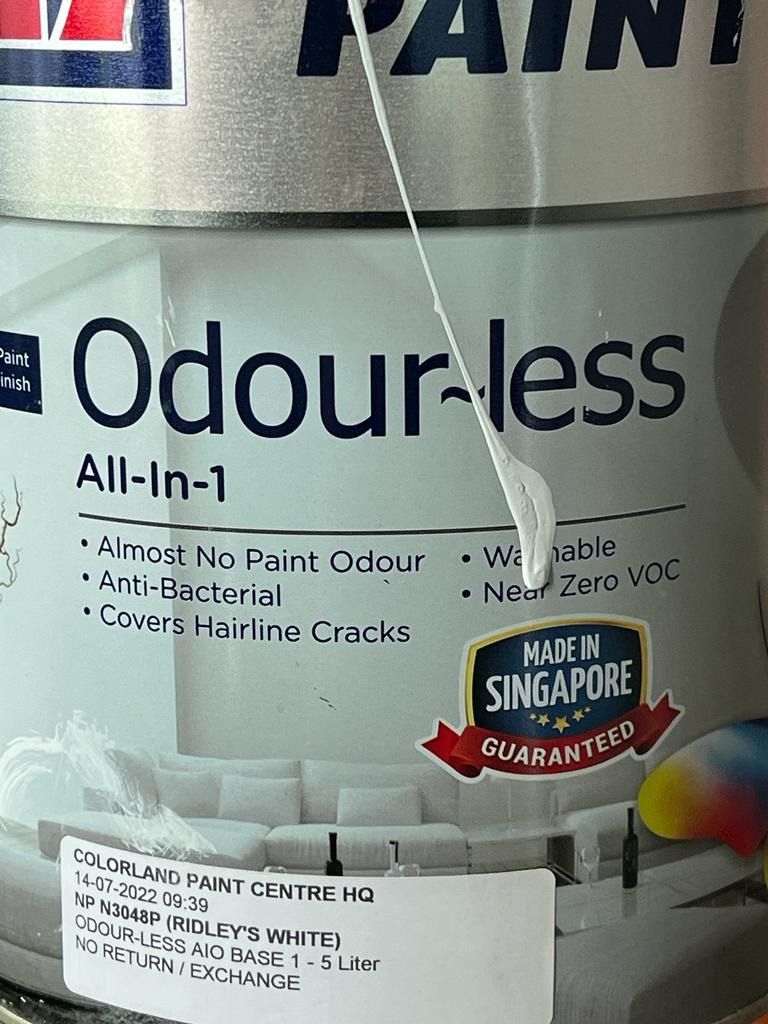 Nippon paint odour-less - 5L, Furniture & Home Living, Home Decor, Wall ...