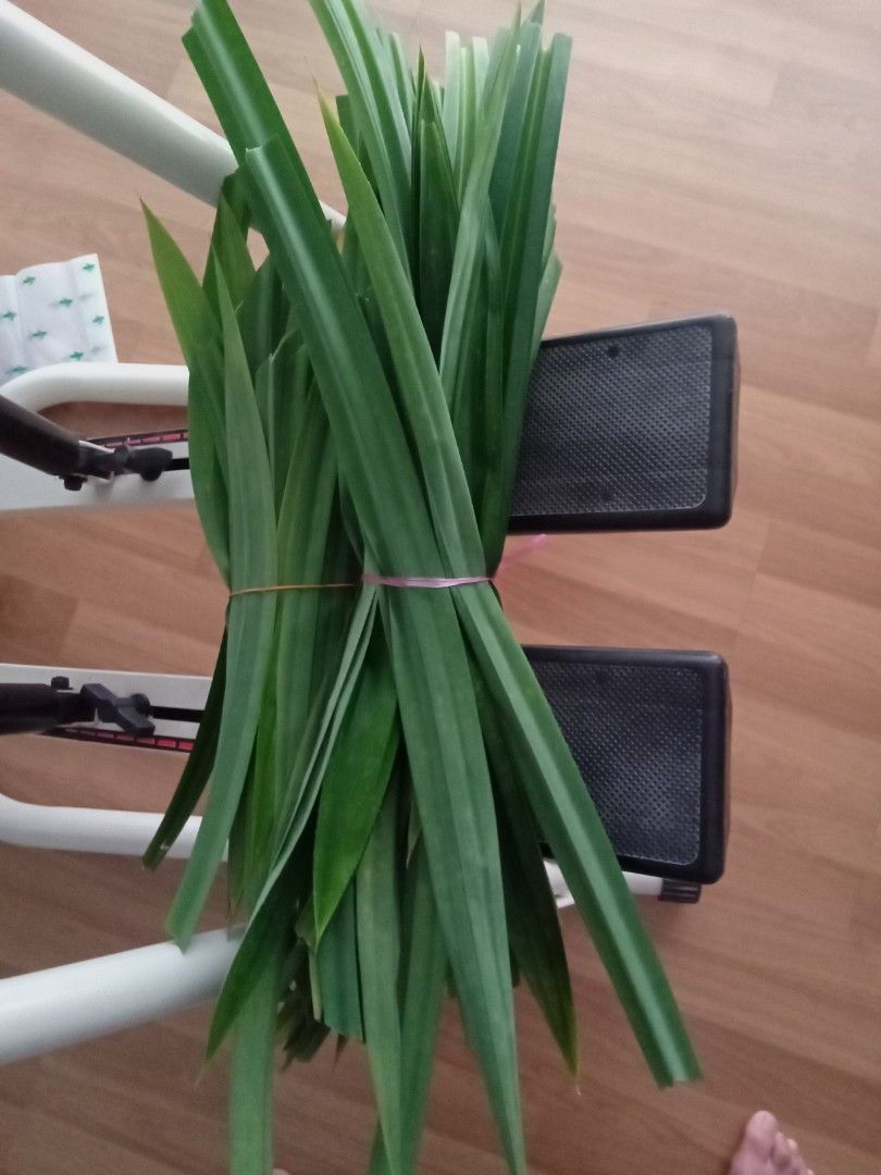 Pandan leave, Food & Drinks, Fresh Produce on Carousell