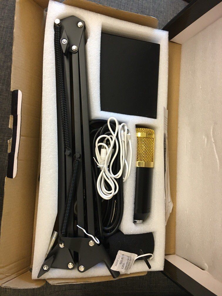 Professional Condenser Microphone, Audio, Microphones on Carousell
