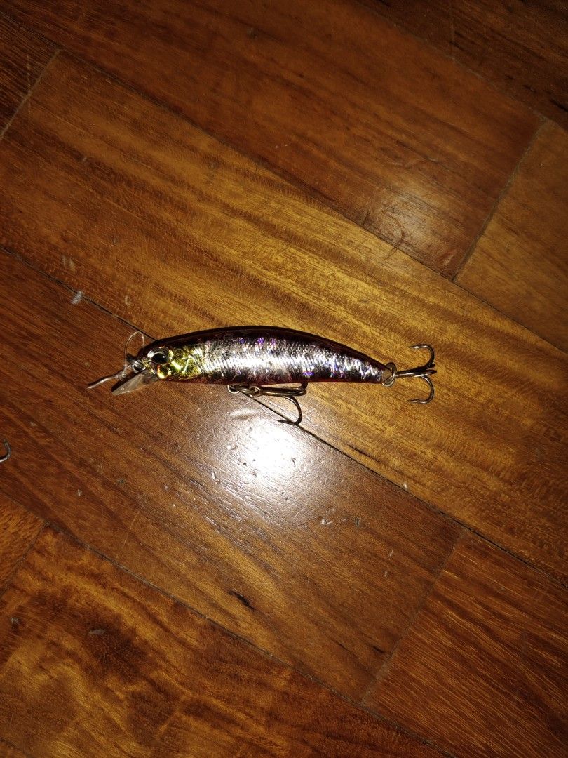 Sure catch walk the dog, bone dash 50s, spearhead ryuki 60s( Bone ...