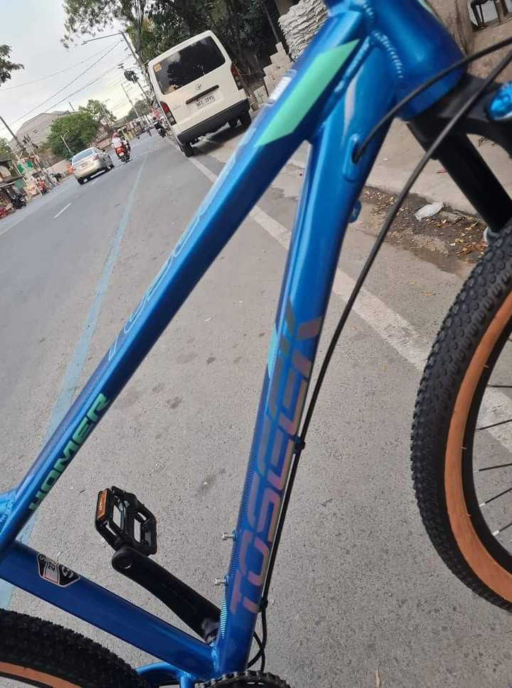TOSEEK HOMER 1x9 SHIMANO ALTUS HYDRAULIC MOUNTAINBIKE, Sports Equipment ...