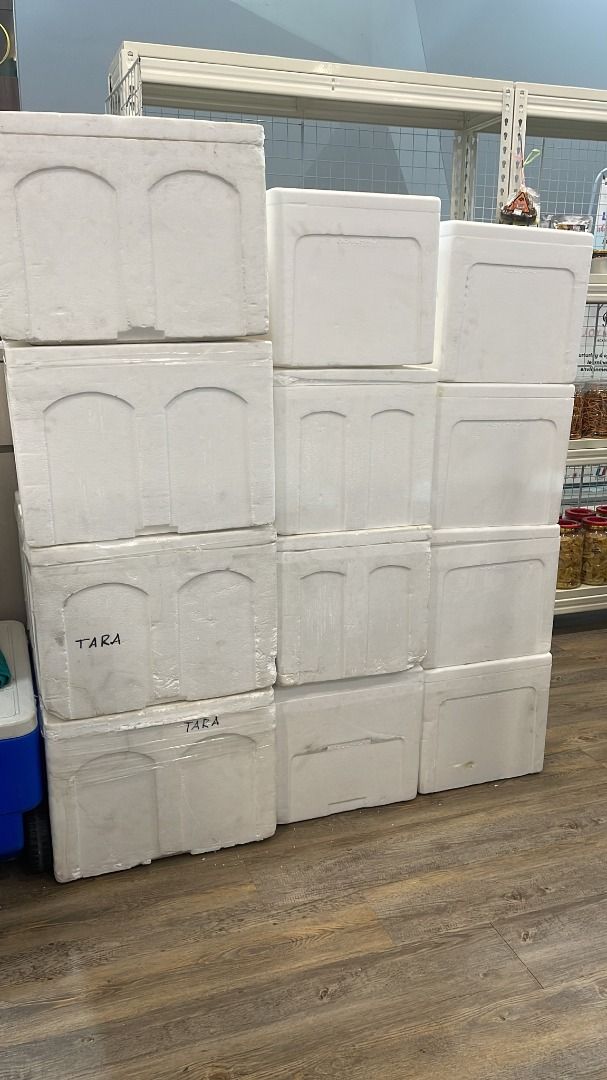 Used Styrofoam boxes, Furniture & Home Living, Kitchenware & Tableware ...