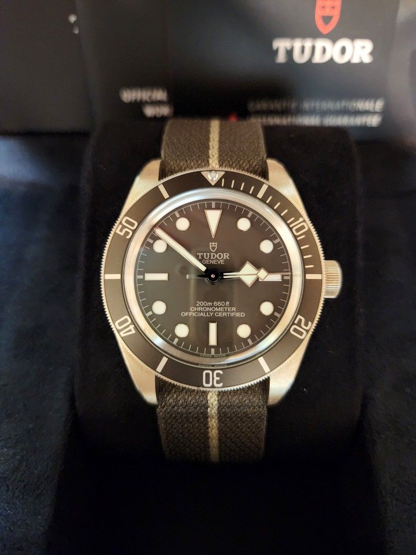 (2022) Tudor Black Bay 58 Silver 925 Nato bb58 Blackbay 79010, Luxury ...