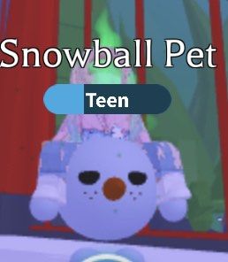 Adopt me ride snowball pet, Everything Else on Carousell