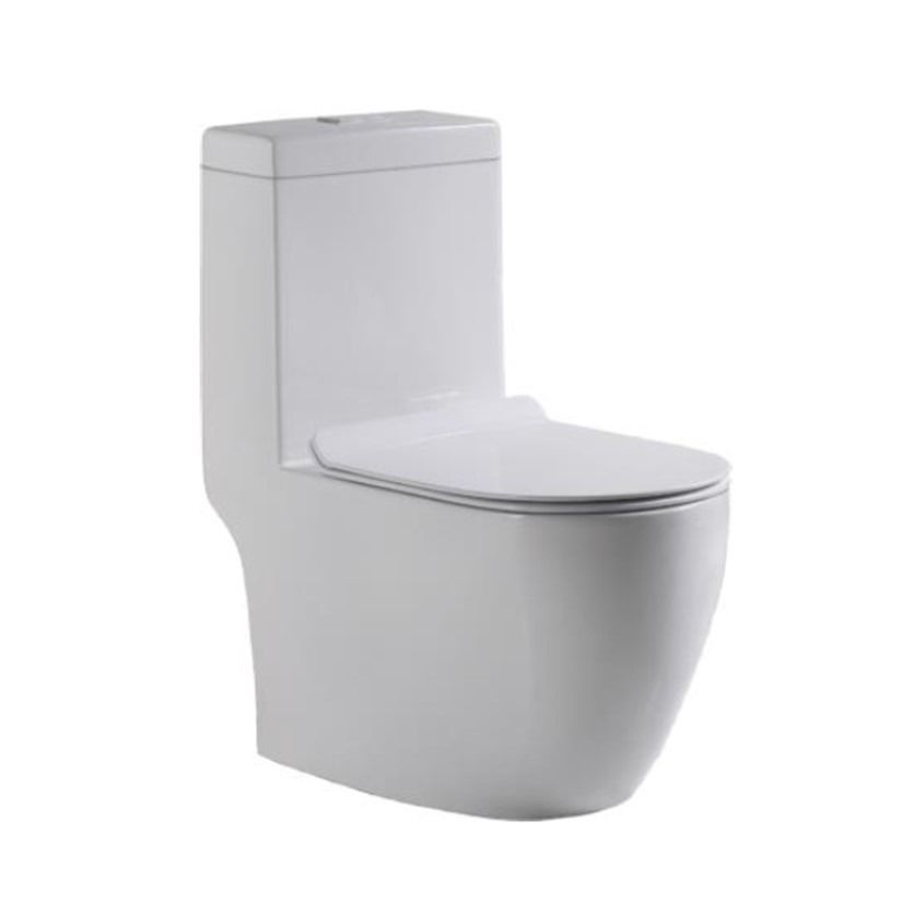 Baron W818 One Piece Rimless WC Toilet Bowl with Geberit Fitting Swiss ...