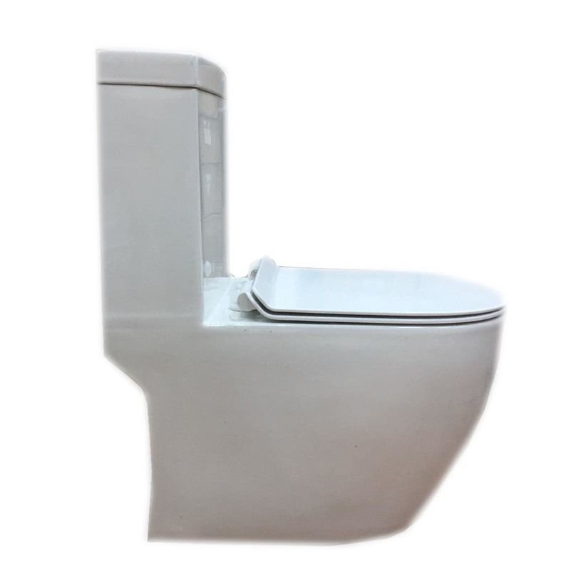 Baron W818 One Piece Rimless WC Toilet Bowl with Geberit Fitting Swiss ...