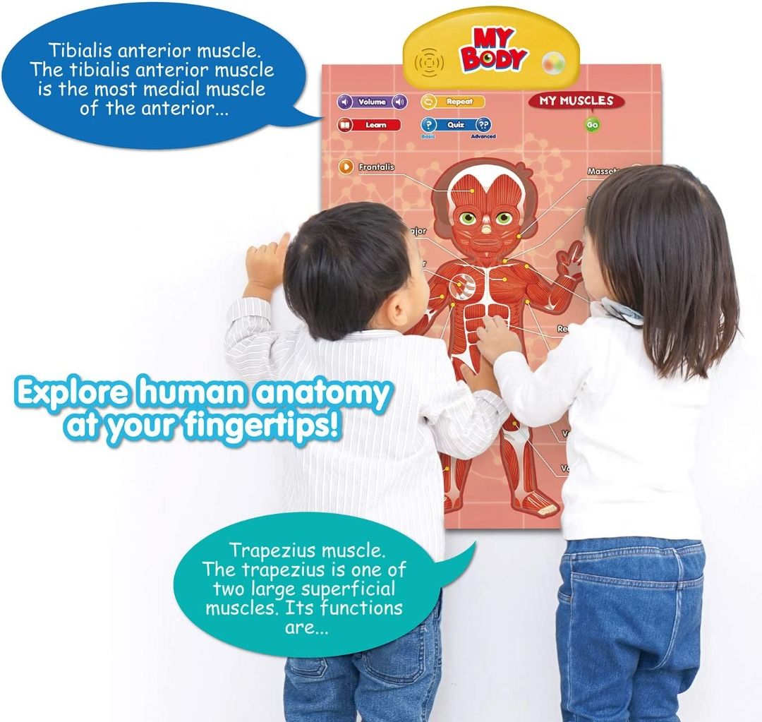 BEST LEARNING i-Poster My Body - Interactive Educational Human Anatomy ...