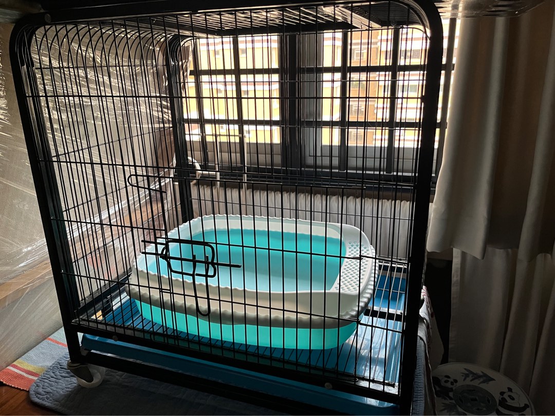 Cage, Pet Supplies, Homes & Other Pet Accessories on Carousell