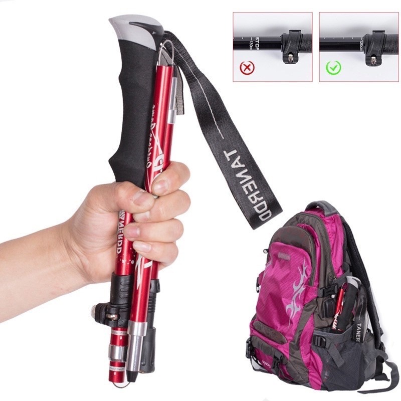 Collapsible Tri-fold Trekking Hiking Poles Carbon Fiber Walking Stick ...