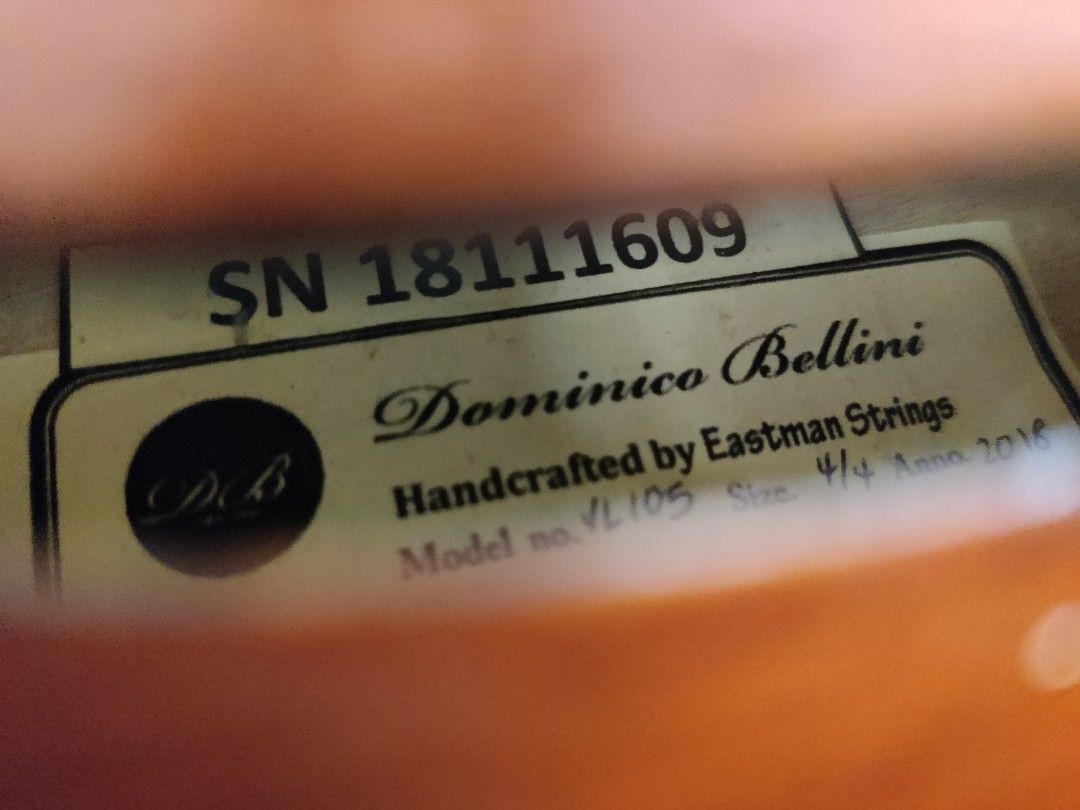 Eastman Strings Violin VL-105, Hobbies & Toys, Music & Media, Musical ...