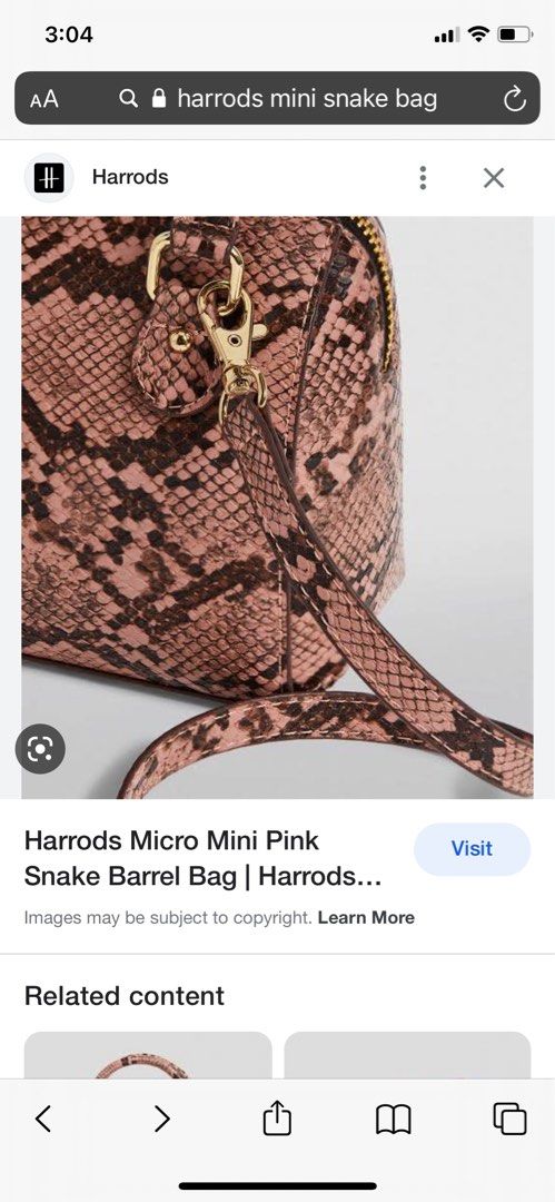 Harrods Mini Snake Bag, Women's Fashion, Bags & Wallets, Shoulder Bags ...