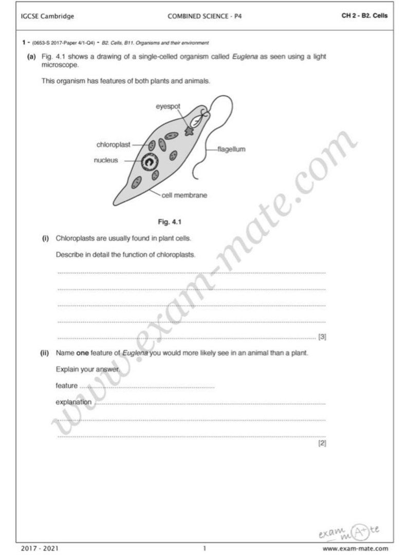 Igcse O Level Combined Science Paper 4 Exercise And Answers Hobbies And Toys Books And Magazines