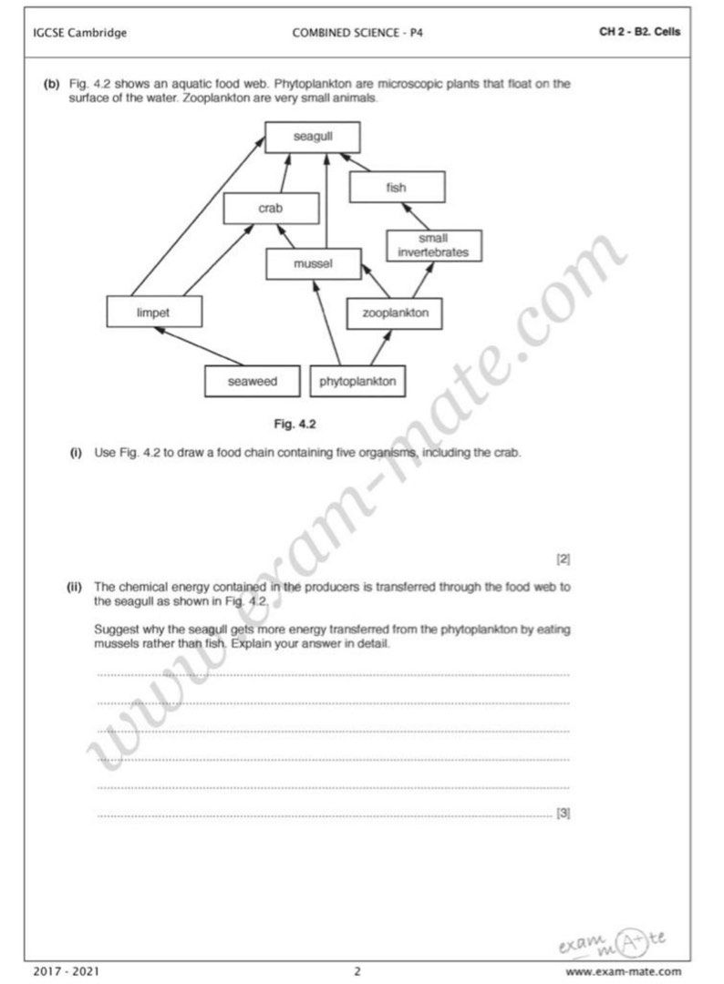 Igcseo Level Combined Science Paper 4 Exercise And Answers Hobbies And Toys Books And Magazines 