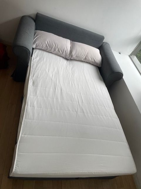 IKEA Backabro, 2-Seat Sofa-Bed, Furniture & Home Living, Furniture ...