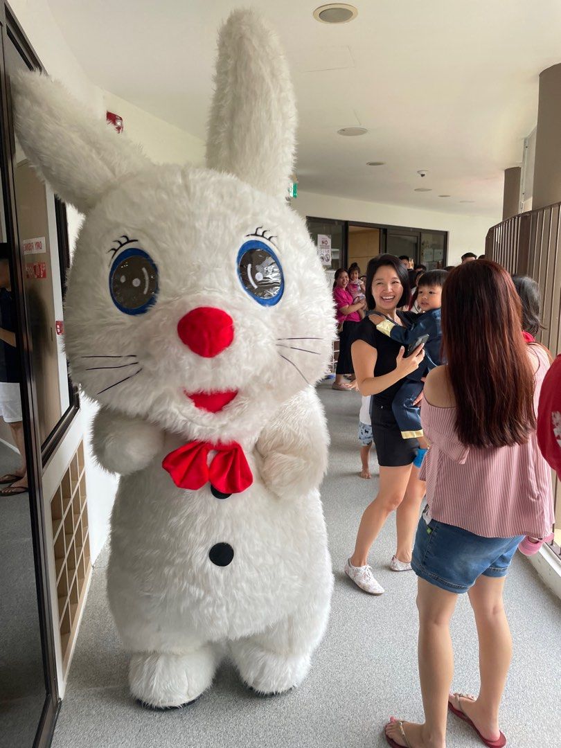 Mascots / Lion Dance / Dragon Dance / Rabbit , Everything Else on Carousell