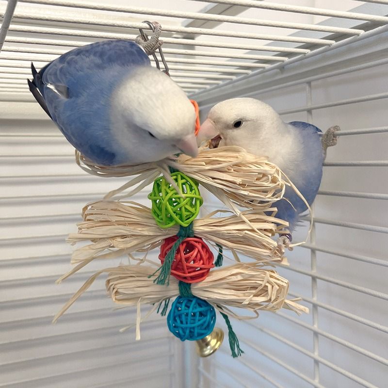 Parrot Gnawing Toy | Natural Material | Raffia Rattan Ball String, Pet ...