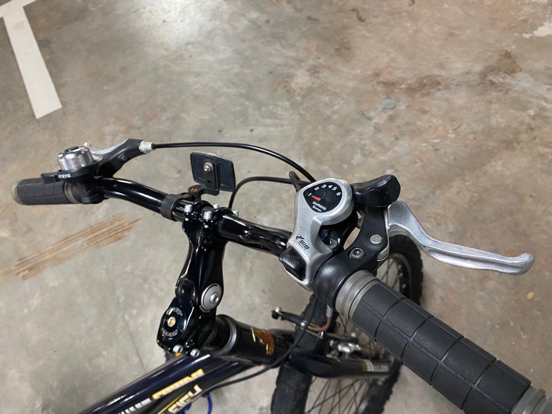 Raleigh mountain bike (kids bicycle 20’), Sports Equipment, Bicycles ...