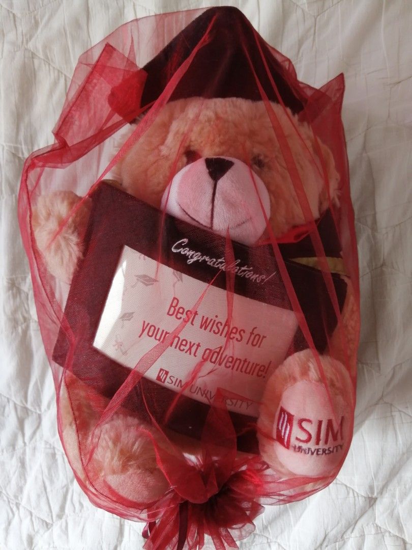 SIM graduation teddy bear, Hobbies & Toys, Toys & Games on Carousell