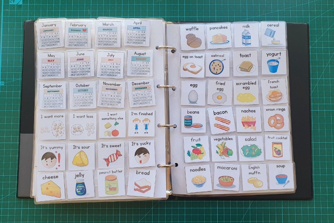 DIY: PECS COMMUNICATION BOOK : AUTISM : READY STOCKS ⚠️1 LEFT AVAILABLE ...