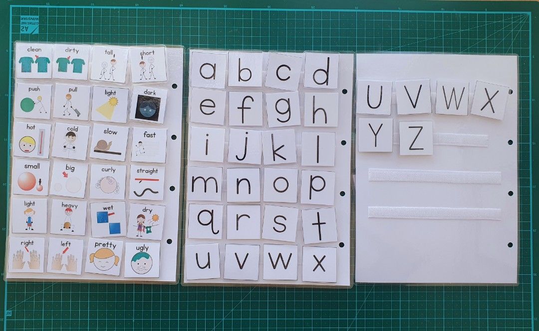 DIY: PECS COMMUNICATION BOOK : AUTISM : READY STOCKS ⚠️1 LEFT AVAILABLE ...
