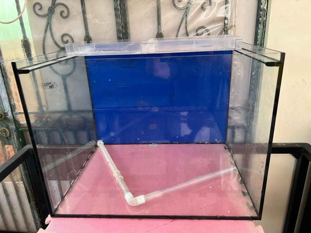 Fish tank 2x1.5x1.5ft, Pet Supplies, Homes & Other Pet Accessories on ...