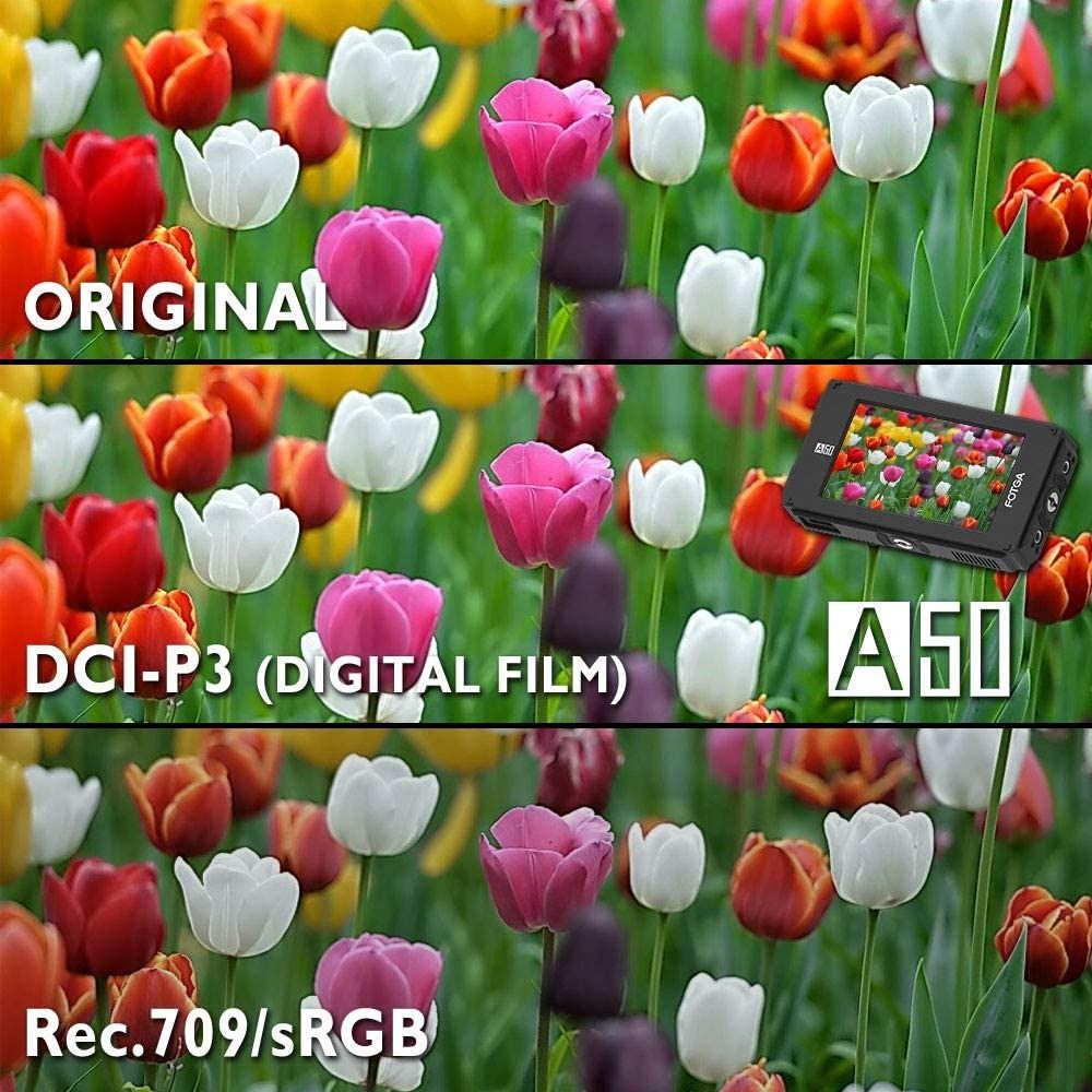 Fotga A50TL 5inch FHD IPS DCI-P3 Wide Color Gamut Touchscreen Video ...