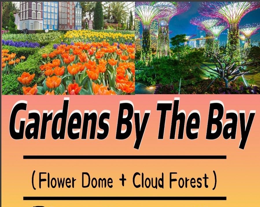 Gardens By The Bay Flower Dome + Cloud Forest (Feat. Avatar: The ...