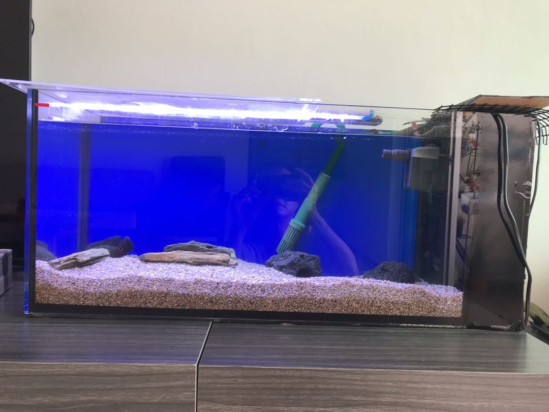 Innovative Marine Peninsula 2 feet fish tank with sump at side , Pet ...