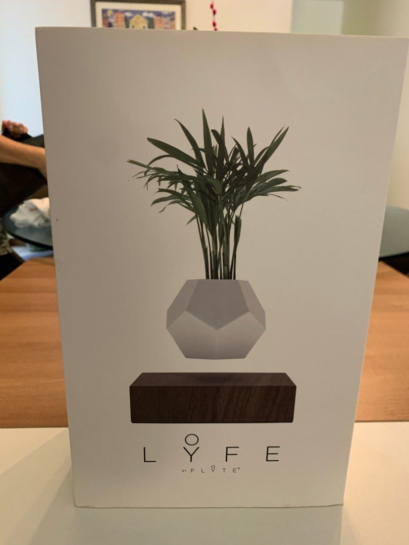 Lyfe Planter by Flyte Levitating and floating plant display, Furniture & Home Living, Gardening ...