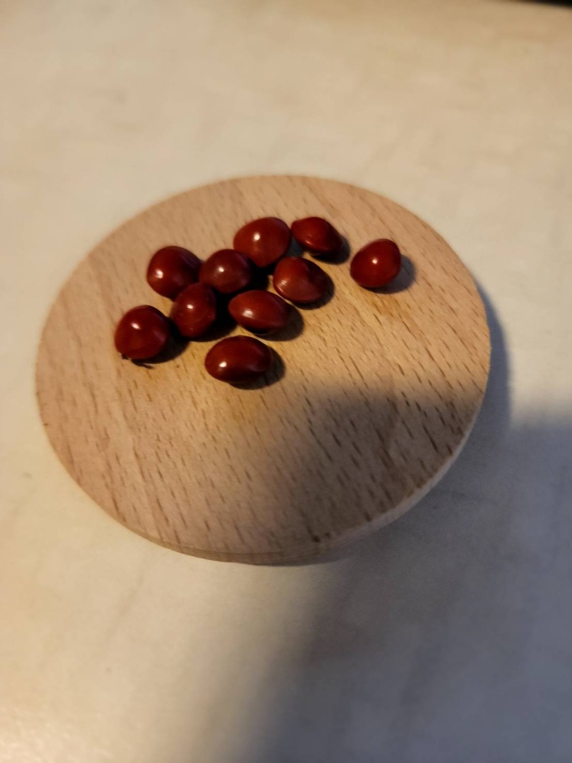 Saga Seed / Love Seed [in multiples of 100], Everything Else on Carousell