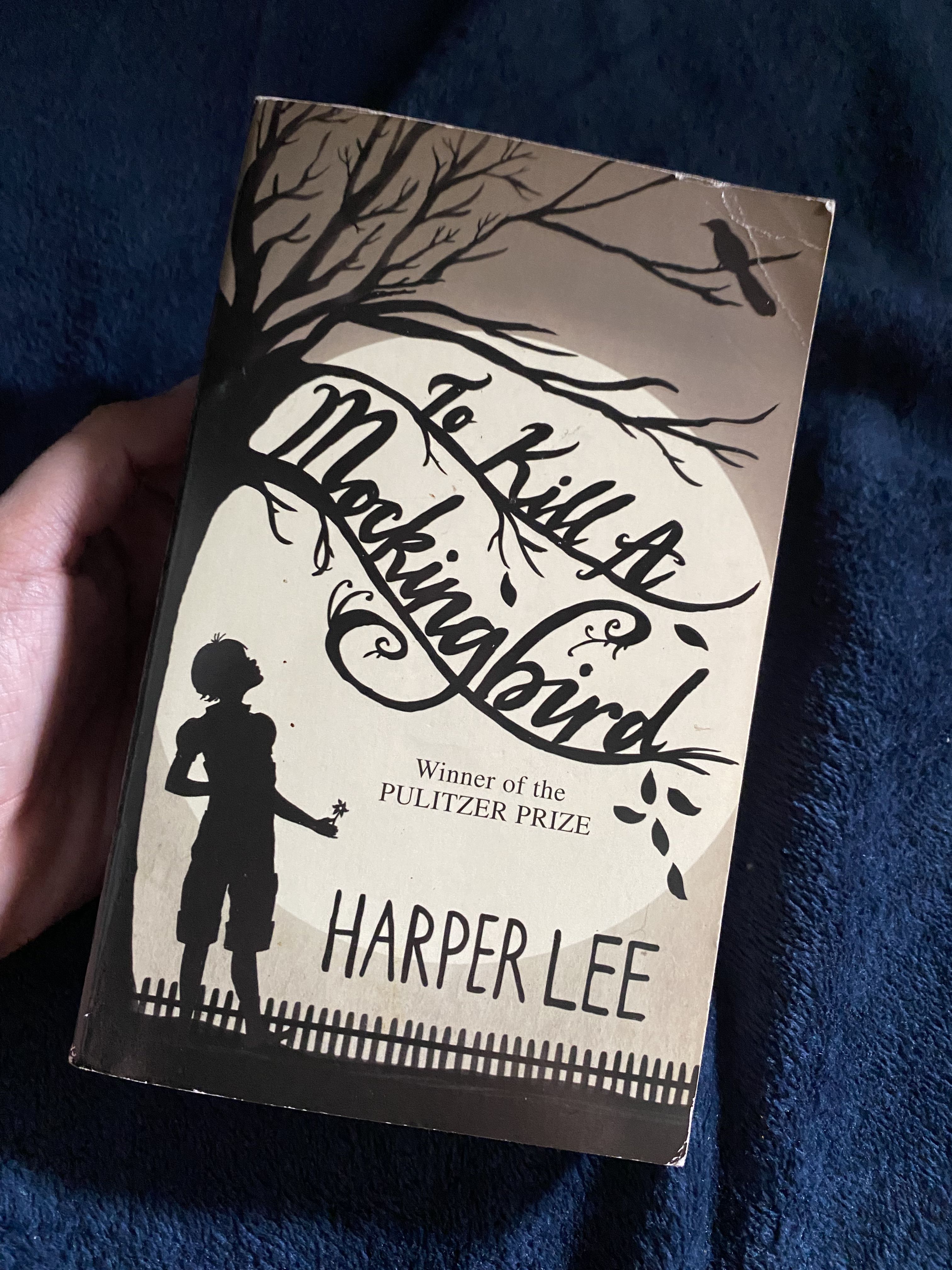 To Kill a Mockingbird Book, Hobbies & Toys, Books & Magazines, Fiction ...