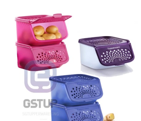 Tupperware Garlic N All Keeper 2.3L (AT0007), Furniture & Home Living ...