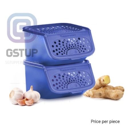 Tupperware Garlic N All Keeper 2.3L (AT0007), Furniture & Home Living ...