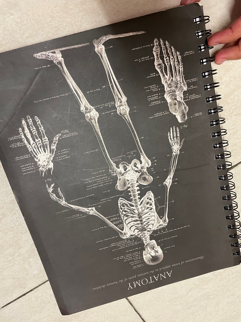 Typo Anatomy note book A4 size, Hobbies & Toys, Books & Magazines ...