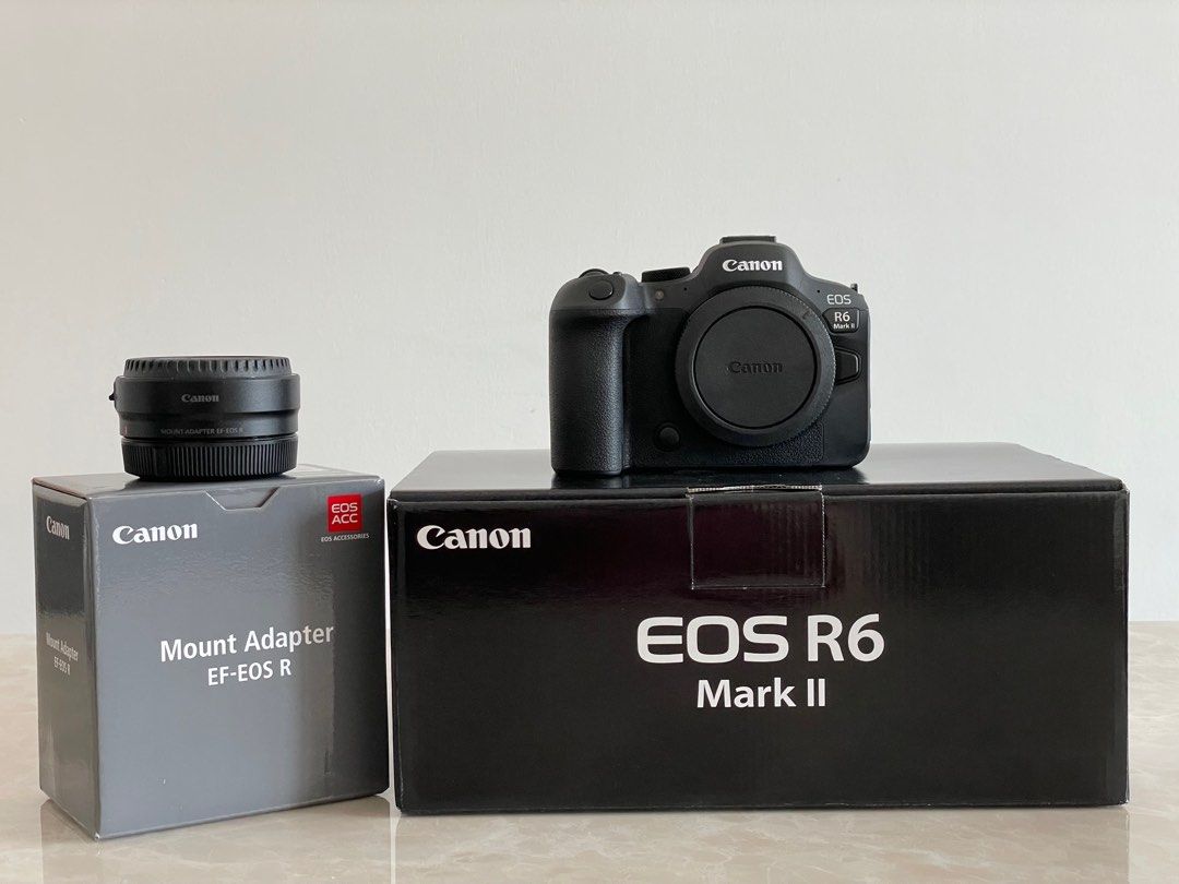Canon EOS R6 Mark II MK2 MKii, Photography, Cameras on Carousell