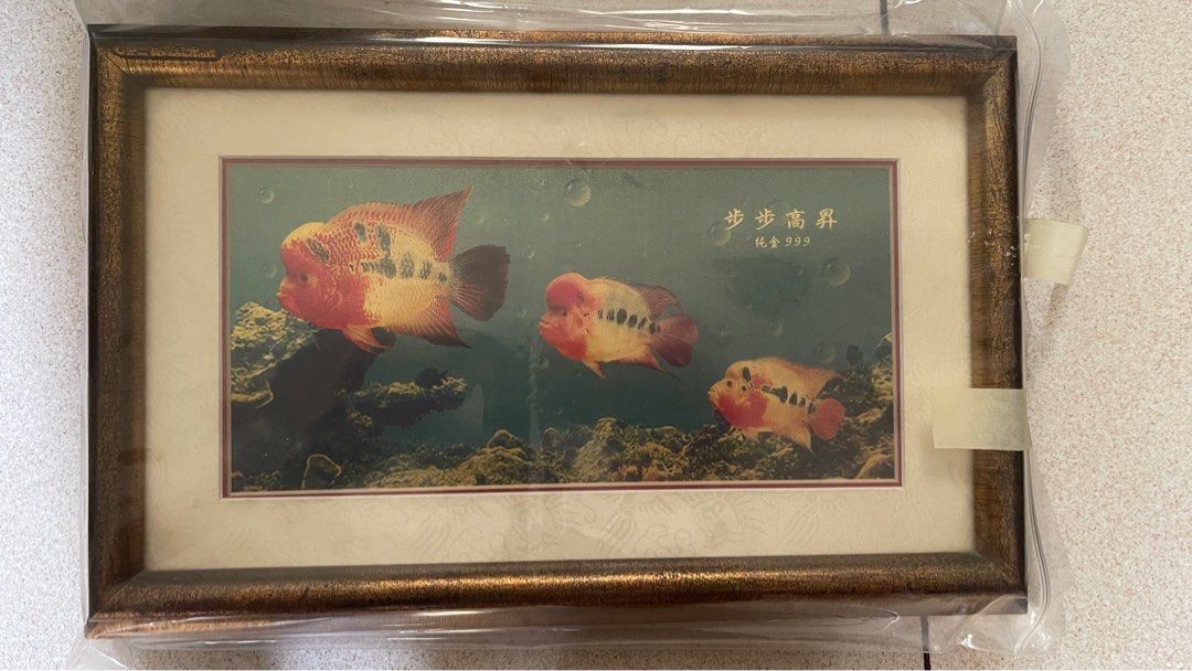 Chinese Painting (Luo Han Fish), Hobbies & Toys, Stationery & Craft ...