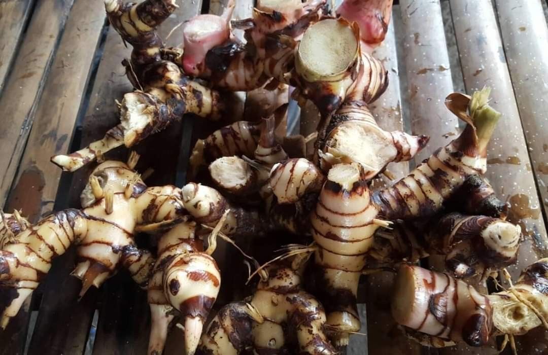 Galangal root / Blue ginger/ Lengkuas, Food & Drinks, Fresh Produce on ...
