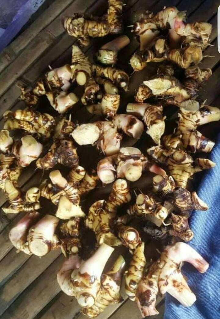 Galangal root / Blue ginger/ Lengkuas, Food & Drinks, Fresh Produce on ...