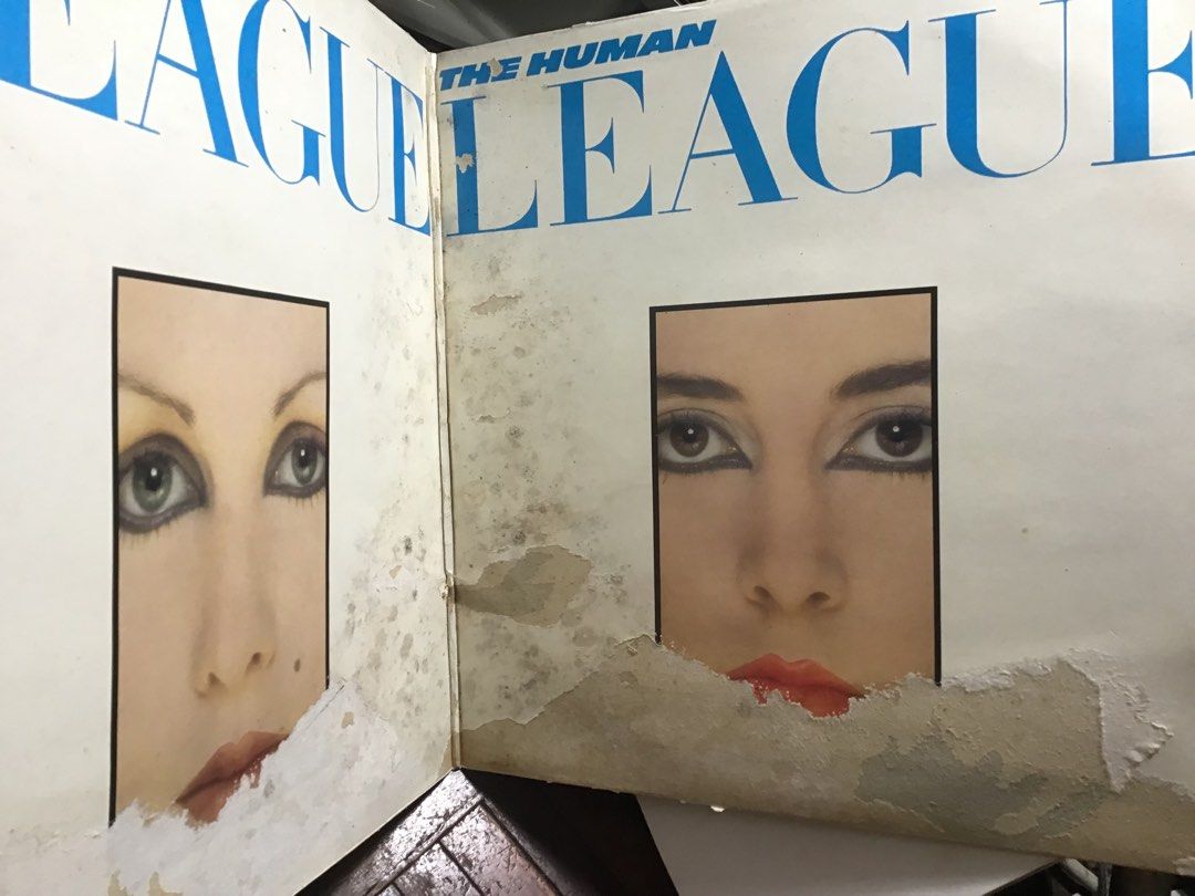LP Human League - Dare OOP VINYL RECORD Anubis 80s Pop Piring Hitam, Hobbies & Toys, Music ...